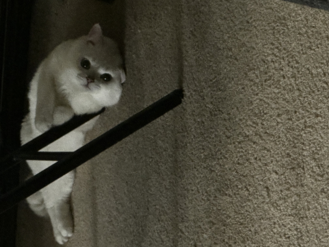 Zhiling Chen | PhD ME @ UCONN