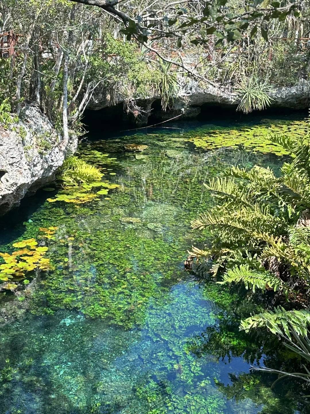 Zhiling Chen | PhD ME @ UCONN